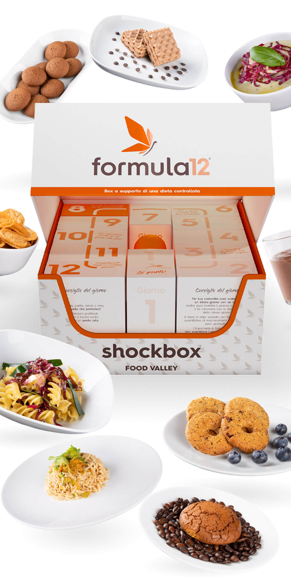 Shockbox Classic - Formula12